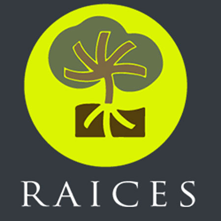 RAICES Vehicle Donation Program
